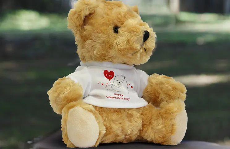Personalised Photo Teddies